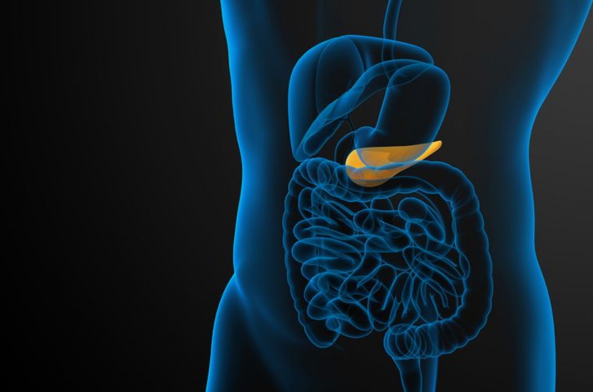 Tumore Al Pancreas: Quali Sintomi Devono Preoccupare? - Sanihelp.it