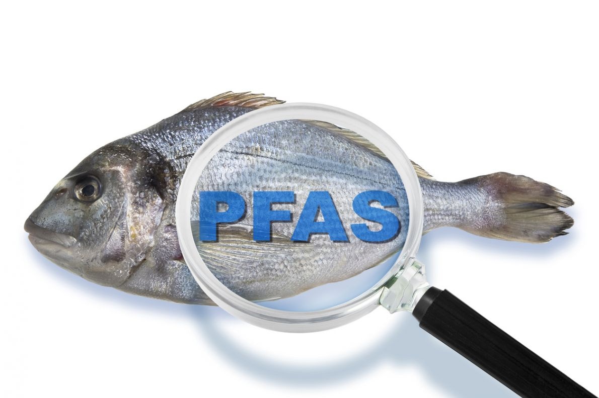 Cosa sono i PFAS, dove si trovano e i rischi per la salute - Sanihelp.it