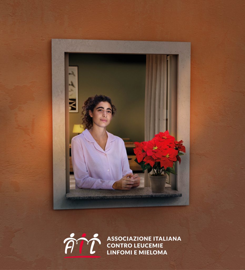 Le stelle di Natale di AIL - Sanihelp.it